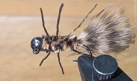 Stoneflies | Angler's Lane Virginia Fly Fishing